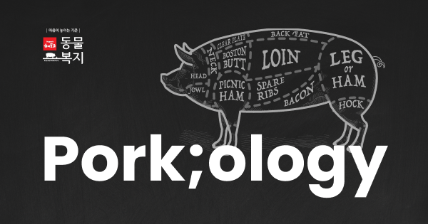 좋은 돼지고기의 새로운 기준 Pork;ology